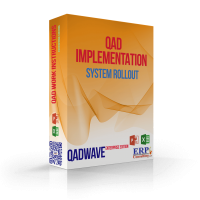 QAD System Rollout Templates - ERP Consulting LLP